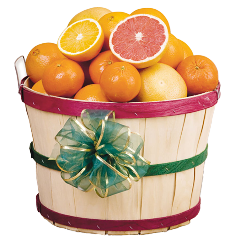 MINI Holiday Gift Box - Florida Farm Bureau Marketing