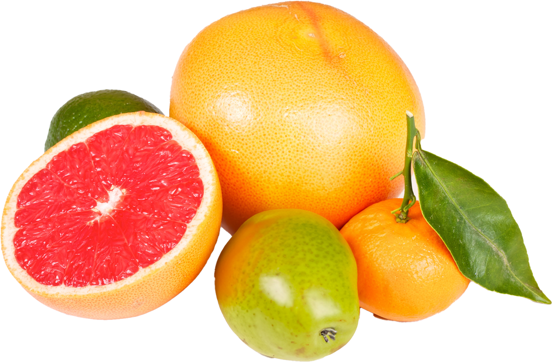 Fundraising with Florida Farm Bureau